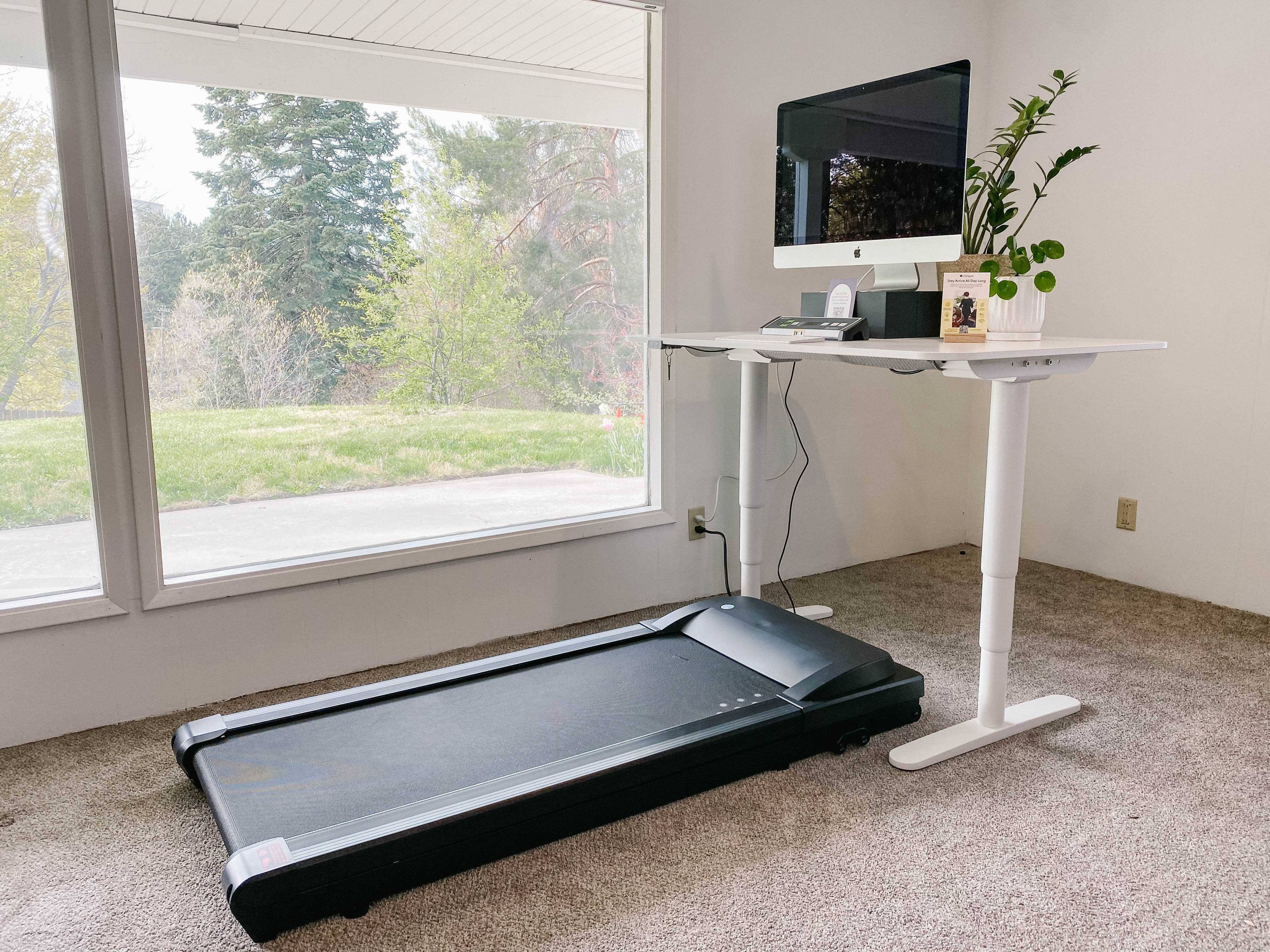Do Treadmill Desks Work? – LifeSpanFitness
